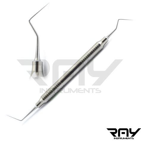 Dg 16 Diagnostic Endo Explorer Root Canal Posterior Ubuy India