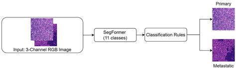 논문 리뷰 A Multi Stage Auto Context Deep Learning Framework For Tissue And Nuclei Segmentation
