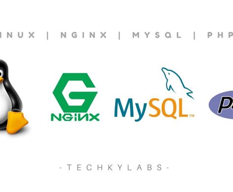 15 Maldet Command You Should Know Adivinar Tec