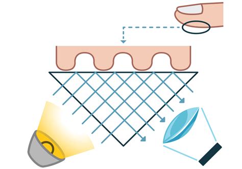 스마트폰 꿀기능 지문인식 기술의 종류와 원리가 궁금하다면