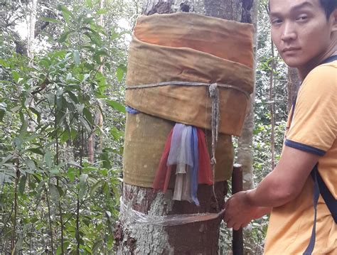 History Ethnics And Locality Naamchoop องค์ความรู้ภาคใต้และคาบสมุทรมลายู