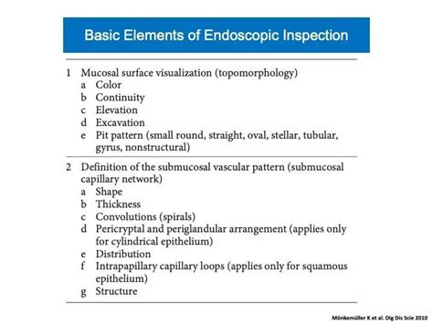 Klaus Mönkemüller On Linkedin Principles And Concepts On Endoscopic Inspection Always Pay Attention…