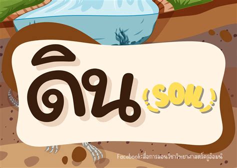 สื่อการสอนวิชาวิทยาศา สื่อการสอนวิชาวิทยาศาสตร์ ครูอ้อมนิ