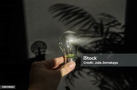 전구를 들고 있는 손 태양광선은 어두운 배경에 그림자를 드리워 개념에 대한 스톡 사진 및 기타 이미지 개념 기업 비즈니스 남자 Istock