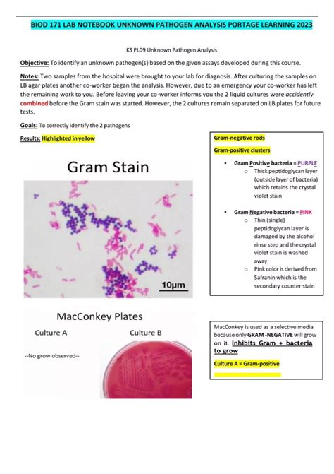 Biod 171 Lab Notebook Unknown Pathogen Analysis Portage Learning 2023