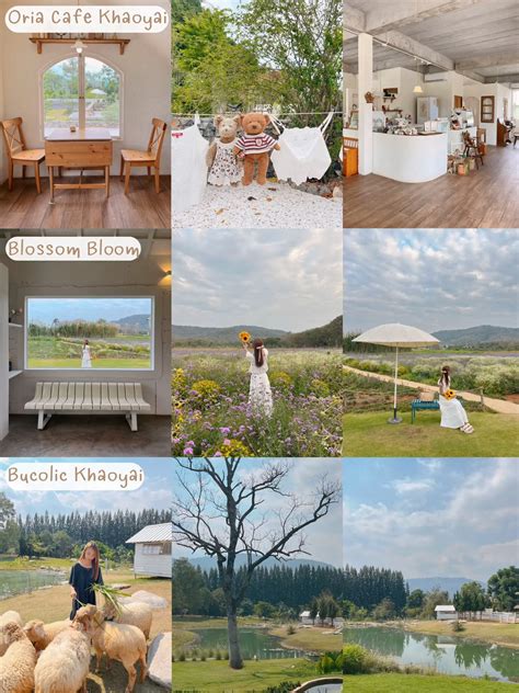 🌳รวม 20 ที่เที่ยวเขาใหญ่ ที่พักสวย คาเฟ่น่ารัก ที่เช็คอินสวยๆ แกลเลอรีที่โพสต์โดย Triptamjai