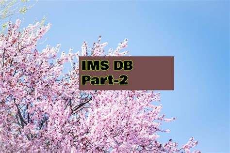 Ims Db Interview Questions For Beginners Srinimf