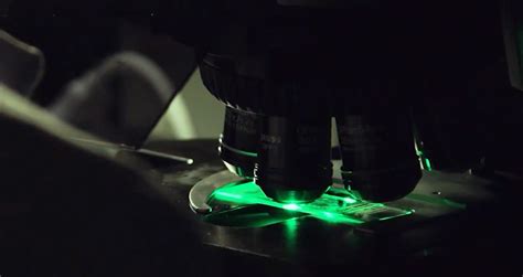 Tsmc 和 Synopsys 将 Nvidia 开创性计算光刻平台投入生产 Nvidia 英伟达博客