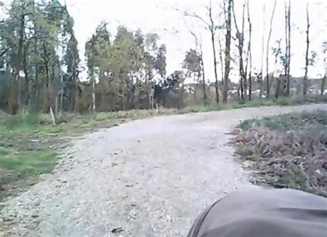 Portuguese Bear Strips And Shows His Big Cock Eporner