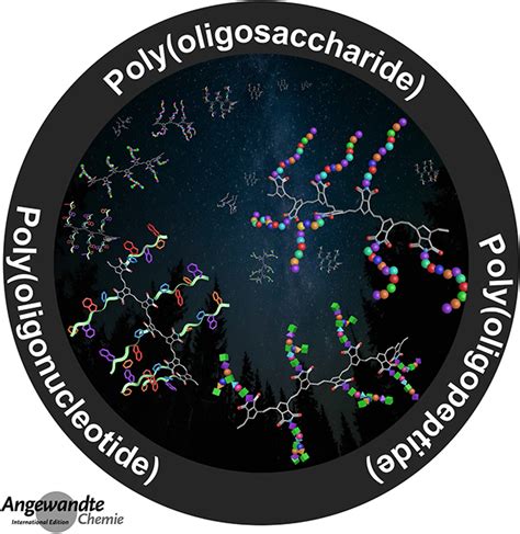 Biomolecular Densely Grafted Brush Polymers Oligonucleotides Oligosaccharides And