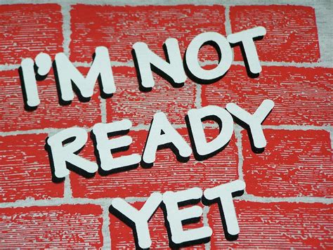Im Not Ready Yet Digital Art By Tracy Lux Pixels