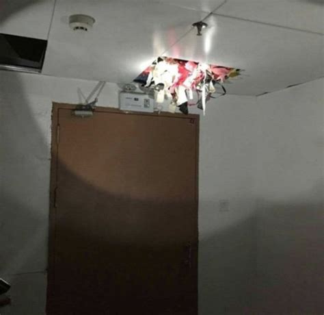 Lingerie Thief Gets Busted Others