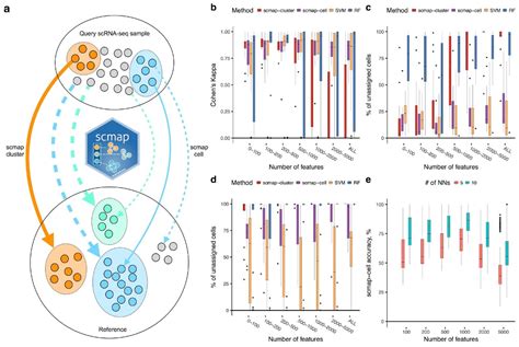 Pdf Scmap A Tool For Unsupervised Projection Of Single Cell Rna Seq Data Vladimir