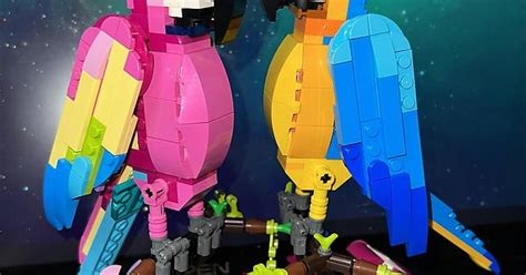 A Perfect Parrot Pair Album On Imgur