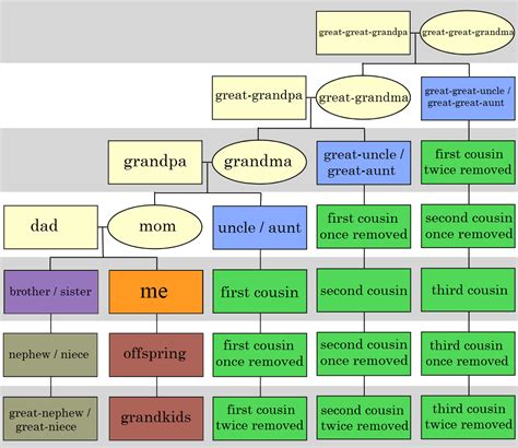 Consanguinity Définition What Is