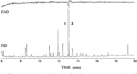 Figure 1 From Sex Pheromone Of The Pink Hibiscus Mealybug Maconellicoccus Hirsutus Contains An