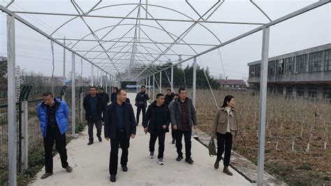蚕桑中心调研指导蚕桑科研基地工作 安康市农业农村局