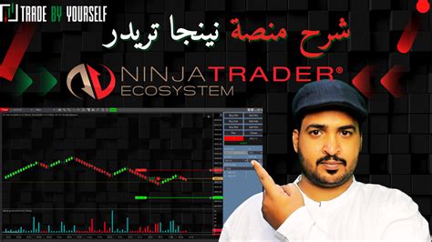 Ninjatrader Platform Explanation Trade By Yourself