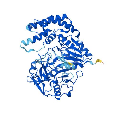 Rcsb Pdb Af Afb9mfy7f1 Computed Structure Model Of Adenylosuccinate Synthetase