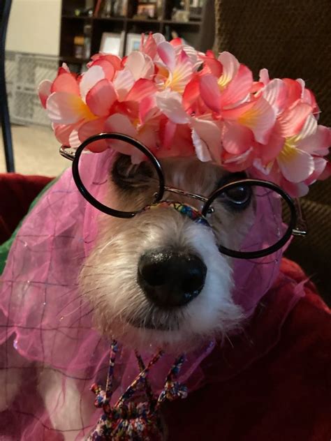 Christopher Shawn Shaw 🎥 🎬 On Linkedin Captionthis