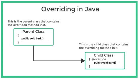 Master Method Overriding In Java Free Beginner Tutorial