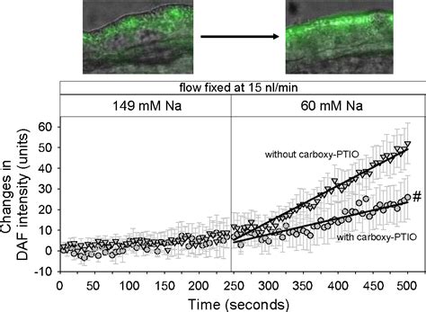 Figure 3 From Effect Of Sodium Delivery On Superoxide And Nitric Oxide