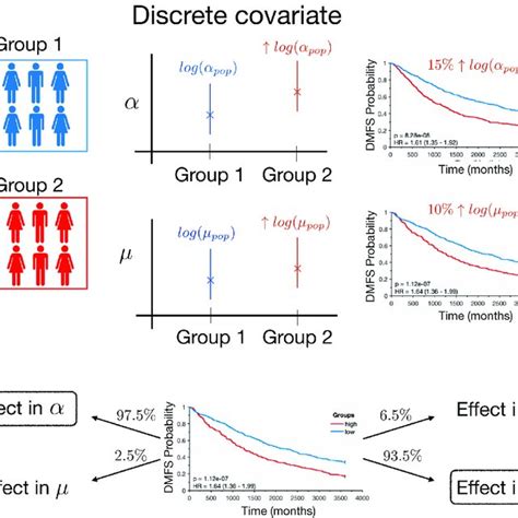 Effect Of A Categorical Covariate A Scheme Of Model Simulation With
