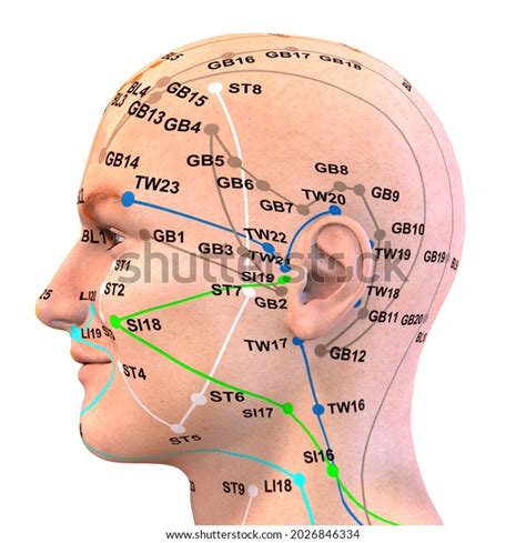 3dillustration Eastern Asian Acupuncture Acupressure Points Stock Illustration 2026846334