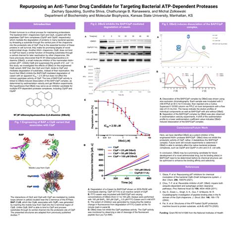 Pdf Repurposing An Anti Tumor Drug Candidate For Targeting Bacterial