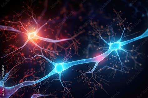 Brain Neural Neuronal Networks Neurons Axons And Dendrites Synapses