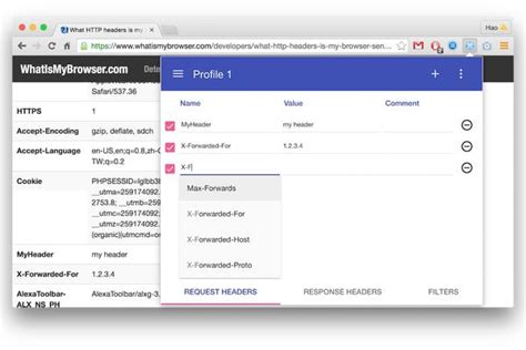 ModHeader Modify headers Chrome 应用商店 Chrome插件下载 收藏猫插件
