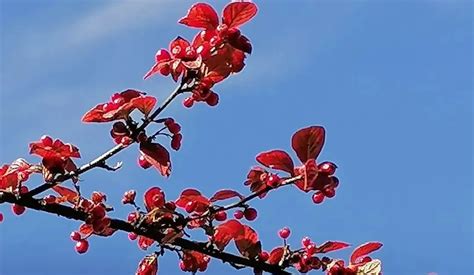夫妻关系再好，睡前也不要说这3句话