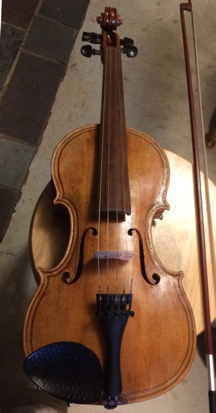 Completed Five String Fiddle Five String Fiddles