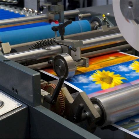 Multicolor Offset Printing Service At Page In Gurugram ID