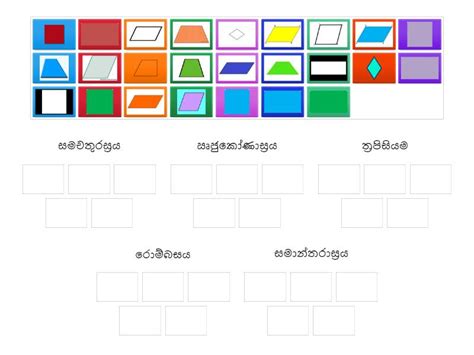 සරල රේඛීය තල රූප 6 ශ්‍රේණිය Group Sort