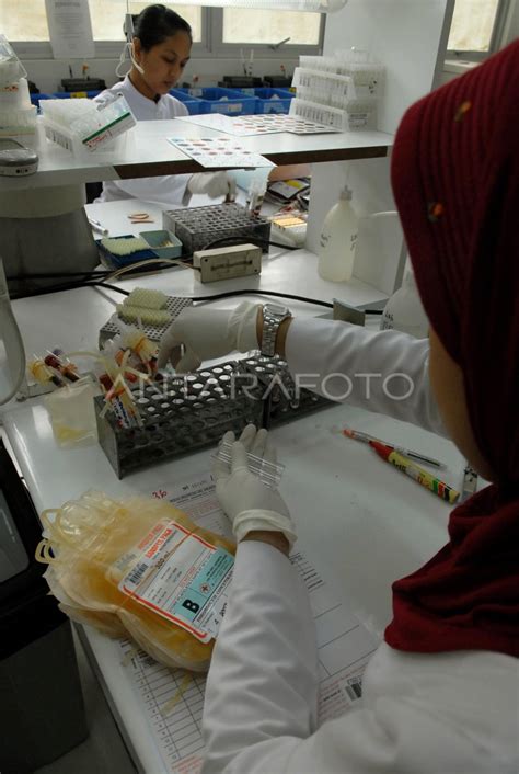 Trombosit Darah Antara Foto