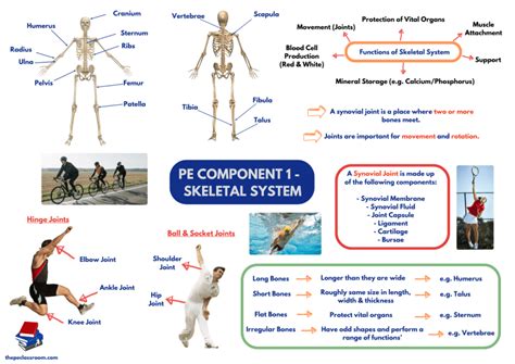 Pe Cheat Sheets Download The Pe Classroom