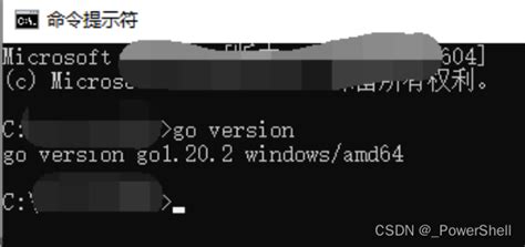 环境搭建篇 Windows 安装 Go 环境并配置环境变量附go1202安装包go环境变量配置 Windows Csdn博客