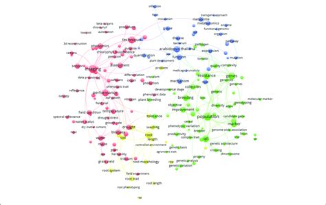 Term Clustering Map Based On The Scopus Plant Phenotyping