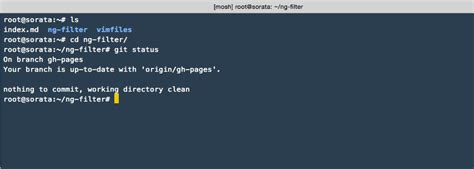 Mosh A Replacement For SSH Raphael Amorim