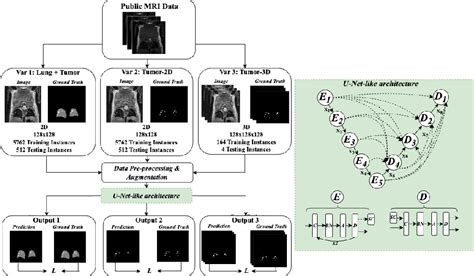 Lung Tumor Segmentation In Mri Mice Scans Using 3d Nnu Net With Minimum Annotations