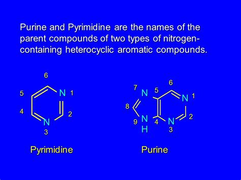 Purine Vs Pyrimidine Structure