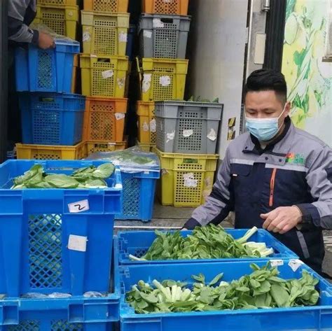 同心战疫 菜篮子管够管快 上海农场 农工商超市同心守沪 市民 正阳 使命