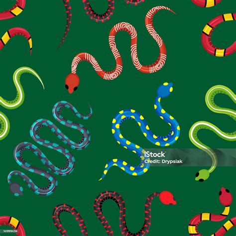 Dangerous Exotic Snakes Pattern Colored Snakes Background Tropical