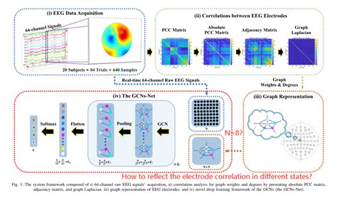 Some Confusion About Your Thesis · Issue 8 · Superbrucejiaeeg Dl · Github
