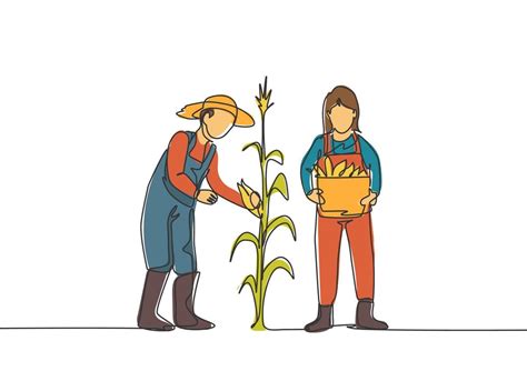 Dibujo De Una Sola Línea De Un Joven Agricultor Recogiendo El Maíz En