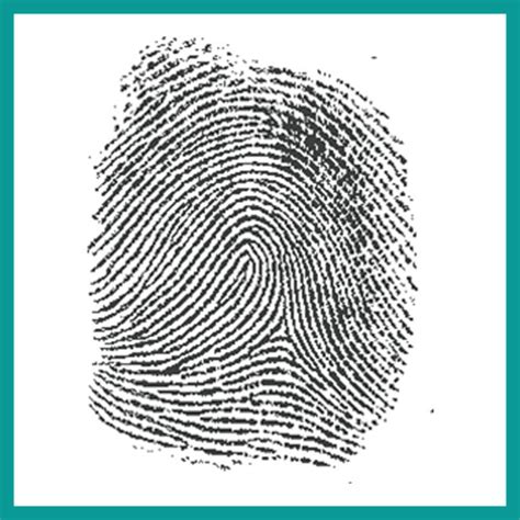 What Is A Fingerprint Definition Types Trends 2024