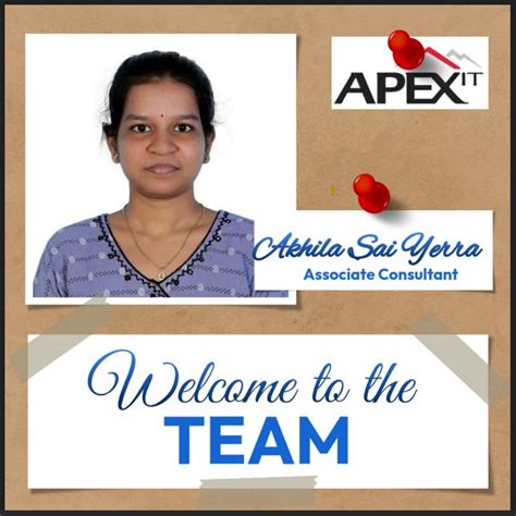Ngi Apex It India Pvt Ltd On Linkedin Apexit