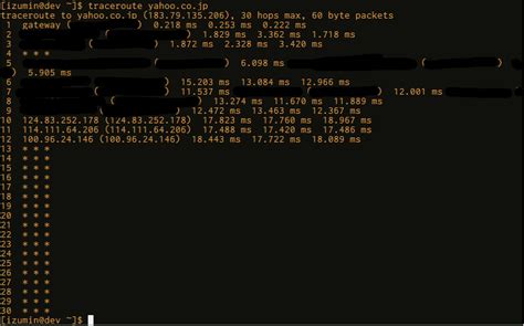 Tracerouteとは Pythonで試す Izuminの備忘録