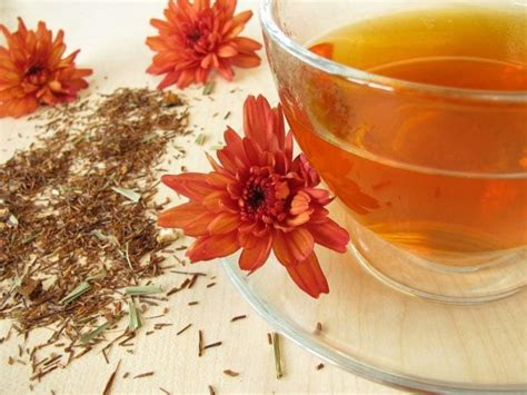13 Amazing Health Benefits Of Red Rooibos Tea Organic Facts